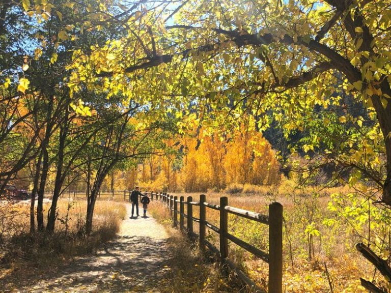 14 Fun Family Things to do in Denver in September