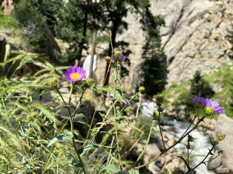 The Beautiful Boulder Falls Waterfall in Colorado