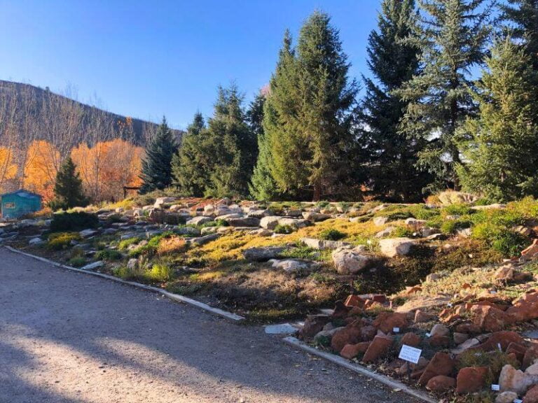 9 Best Activities in Steamboat Springs in October