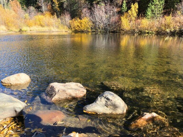 9 Best Activities in Steamboat Springs in October