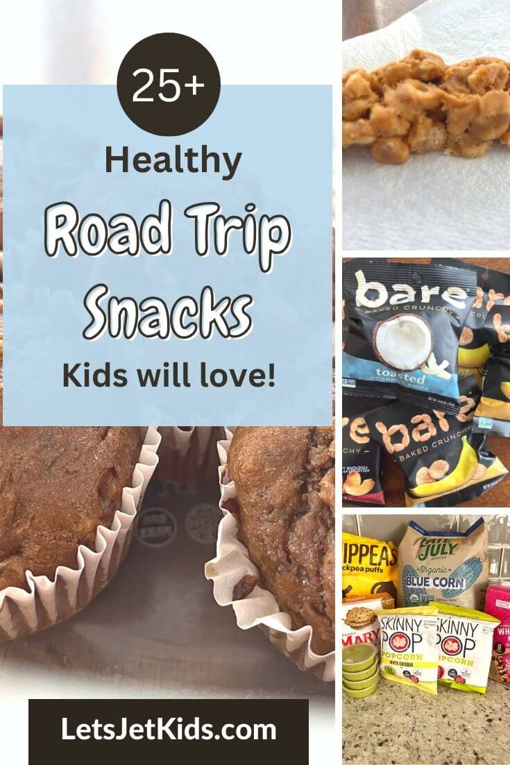 25+ Healthy Road Trip Snacks for Kids (and adults!)